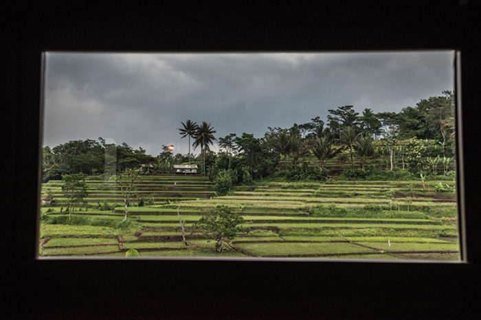 Journey Through Java with Aman | Asia Dreams